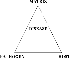 3. PROCESS INITIATION