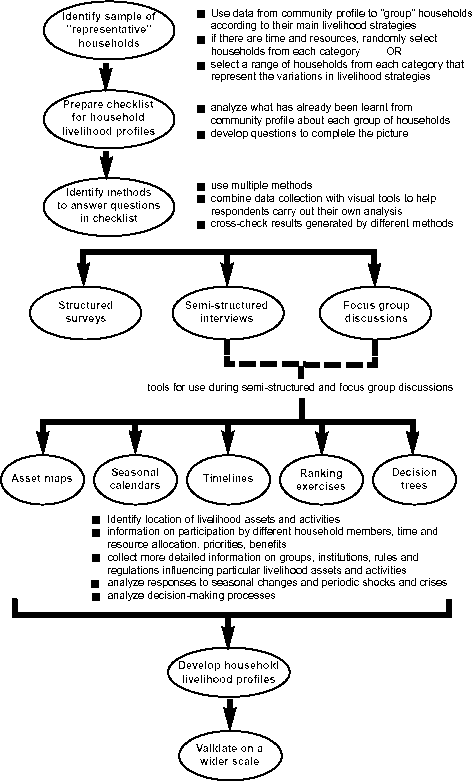 Local institutions and livelihoods: Guidelines for analysis