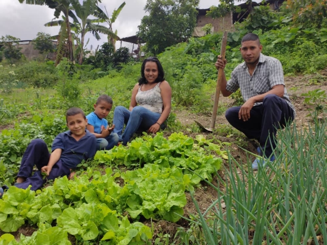 Venezuelan Agriculture