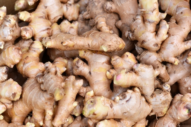 Banding together to re-root the Jamaican ginger industry | FAO Stories ...