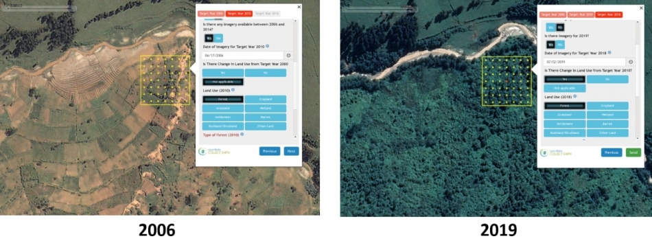 People for trees, trees for people