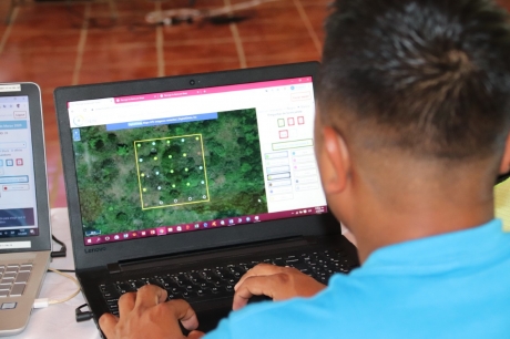 People for trees, trees for people