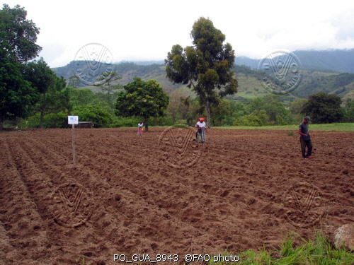 Guatemala albergará la III Semana del Desarrollo Rural Territorial de ...