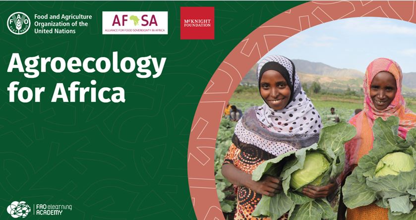 Home | Agroecology Knowledge Hub | Food and Agriculture Organization of ...