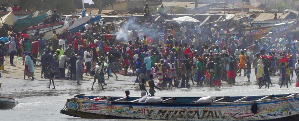 EAF-Nansen Programme | Organisation des Nations Unies pour l ...