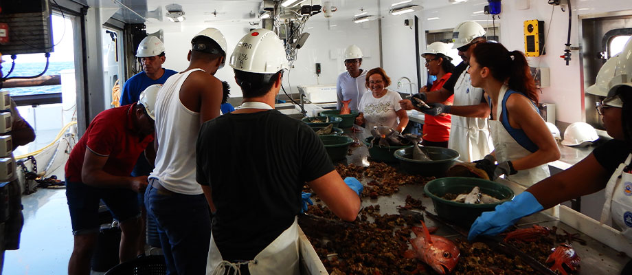 News | EAF-Nansen Programme | Food and Agriculture Organization of the ...