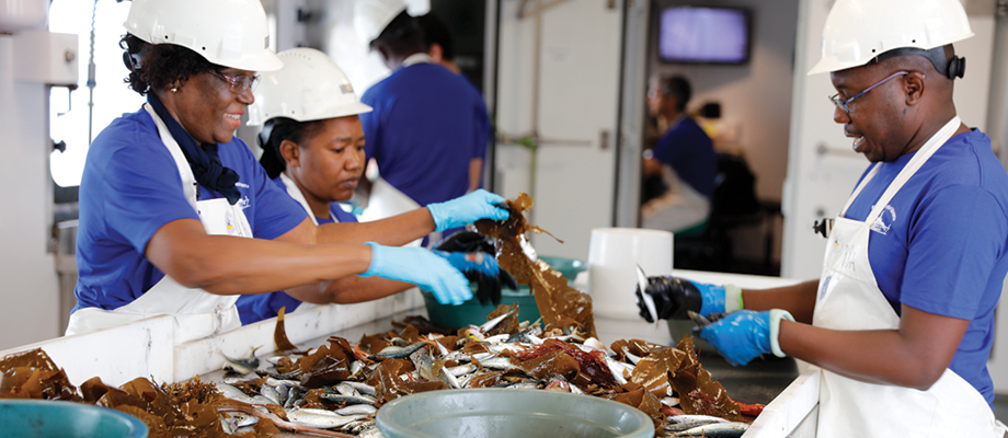 EAF-Nansen Programme | Food and Agriculture Organization of the United ...