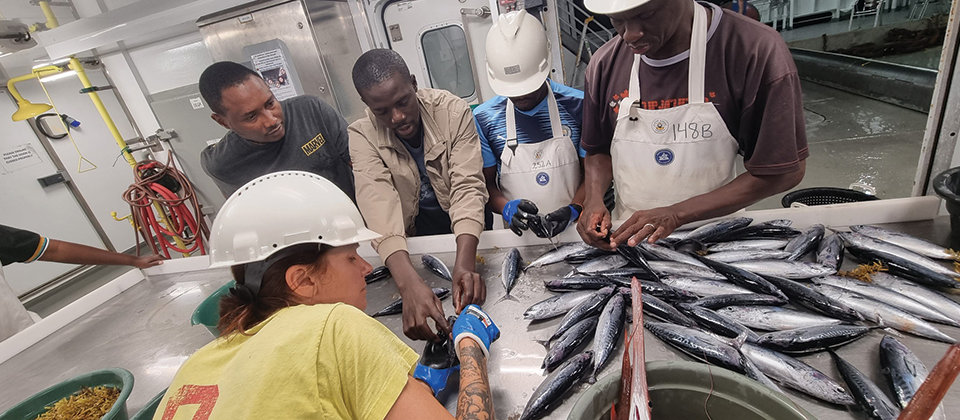 EAF-Nansen Programme | Food and Agriculture Organization of the United ...