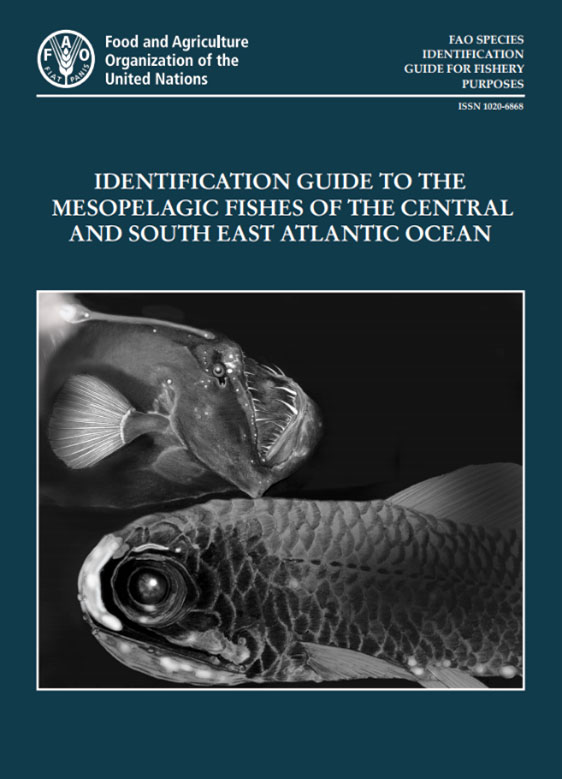 The Mesopelagic Fish Guide: shedding light on 550 fish species in one ...