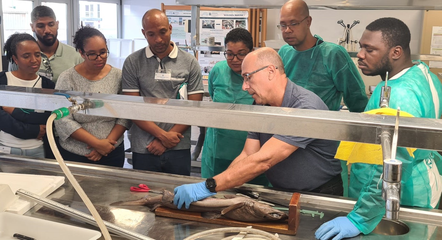 Fish taxonomy research workshop develops local talent and leadership in ...