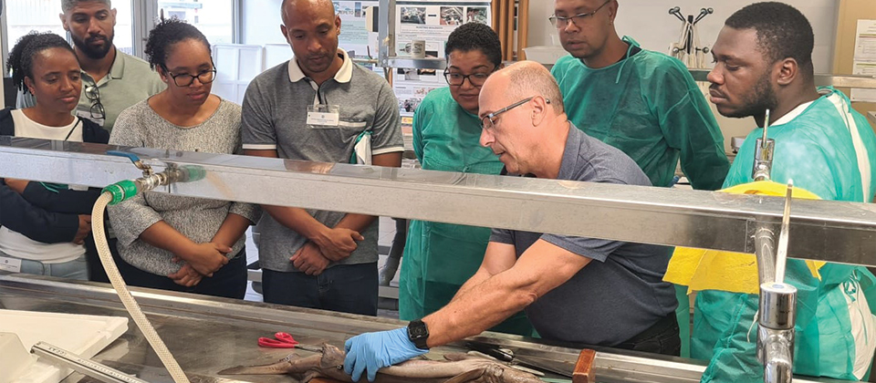 16-20 January, Tenerife, Spain – Seven scientists participated in the ...