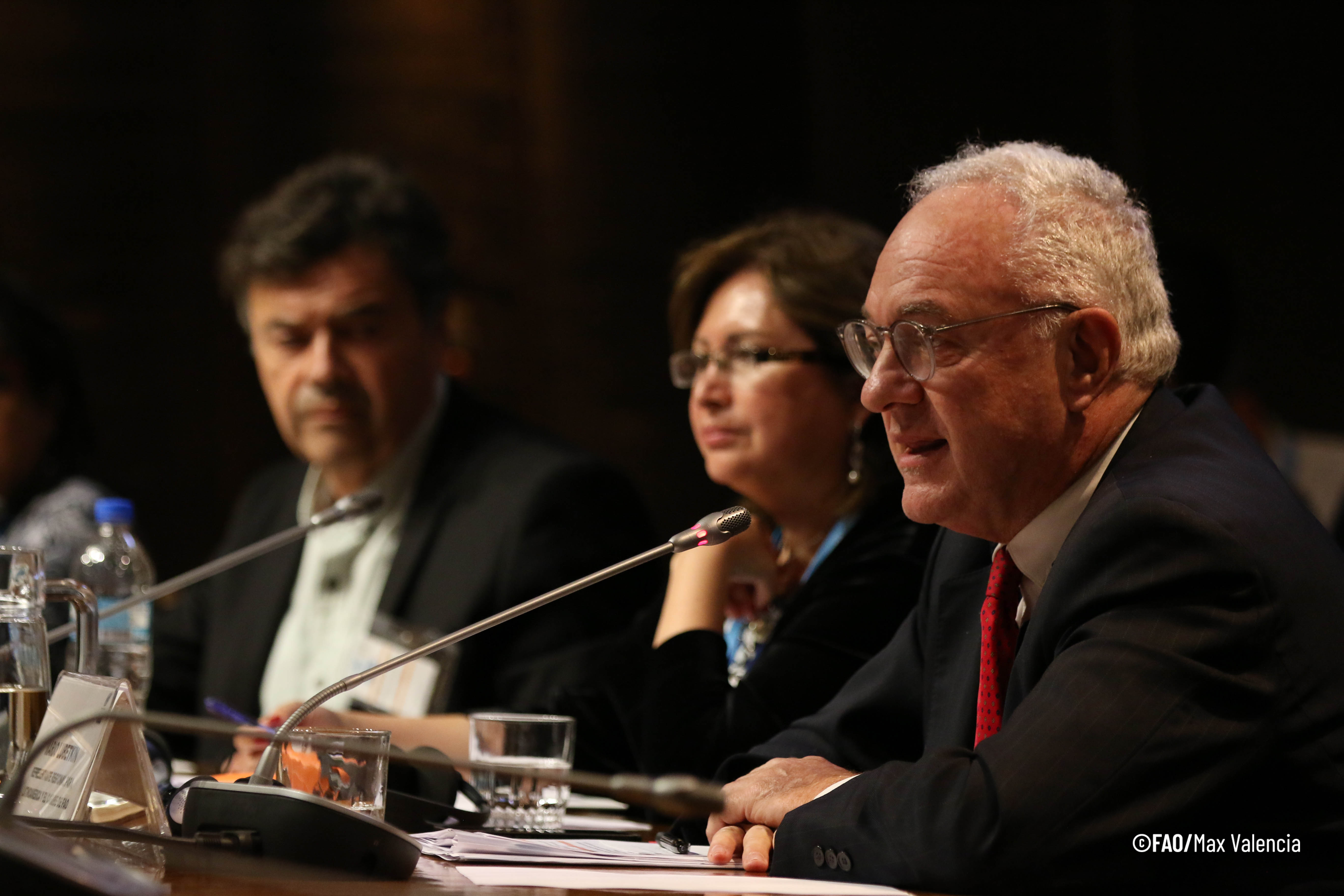 Organização das Nações Unidas para Agricultura e Alimentação: FAO no ...