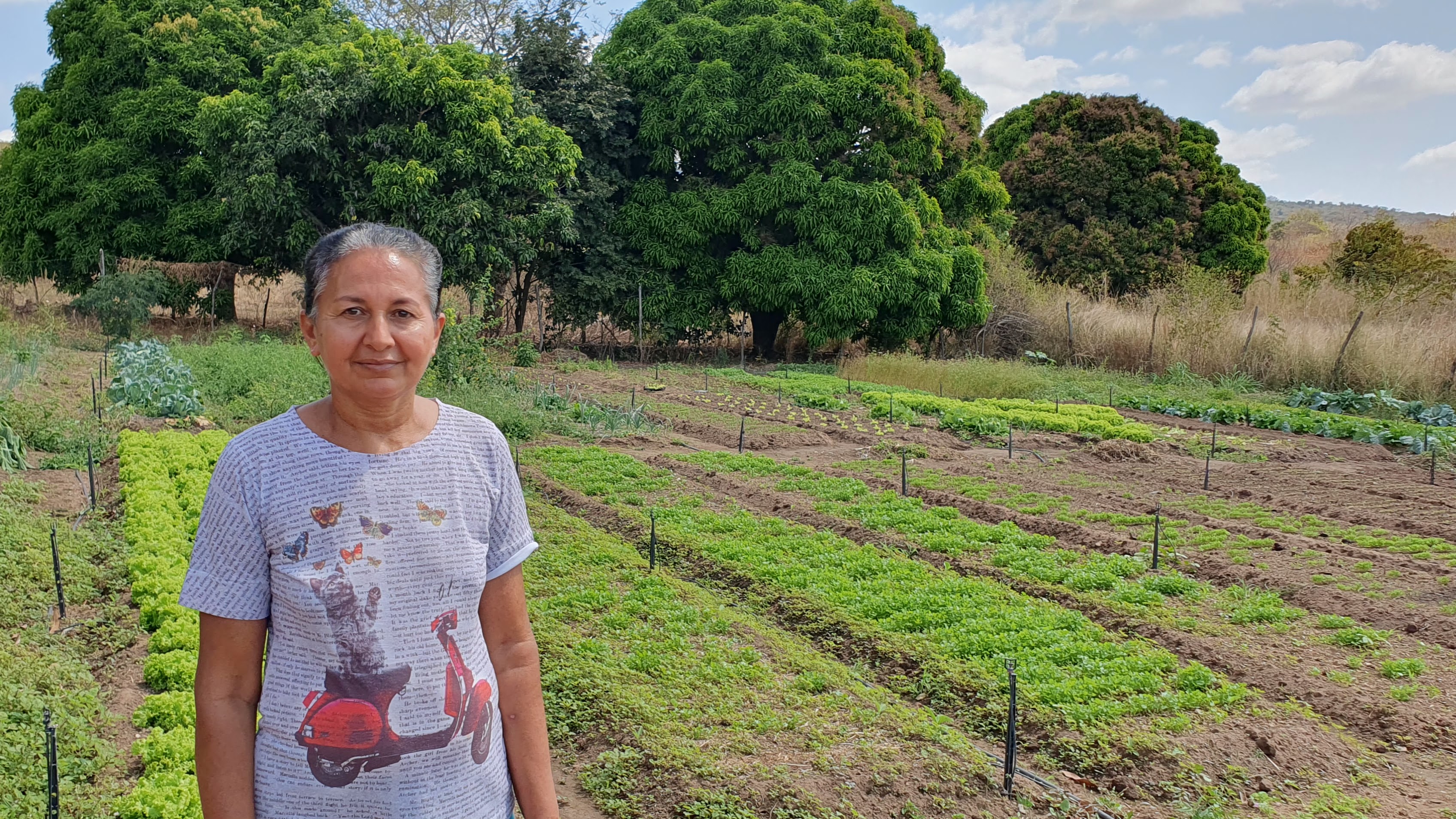 Organização das Nações Unidas para Agricultura e Alimentação: Notícias ...