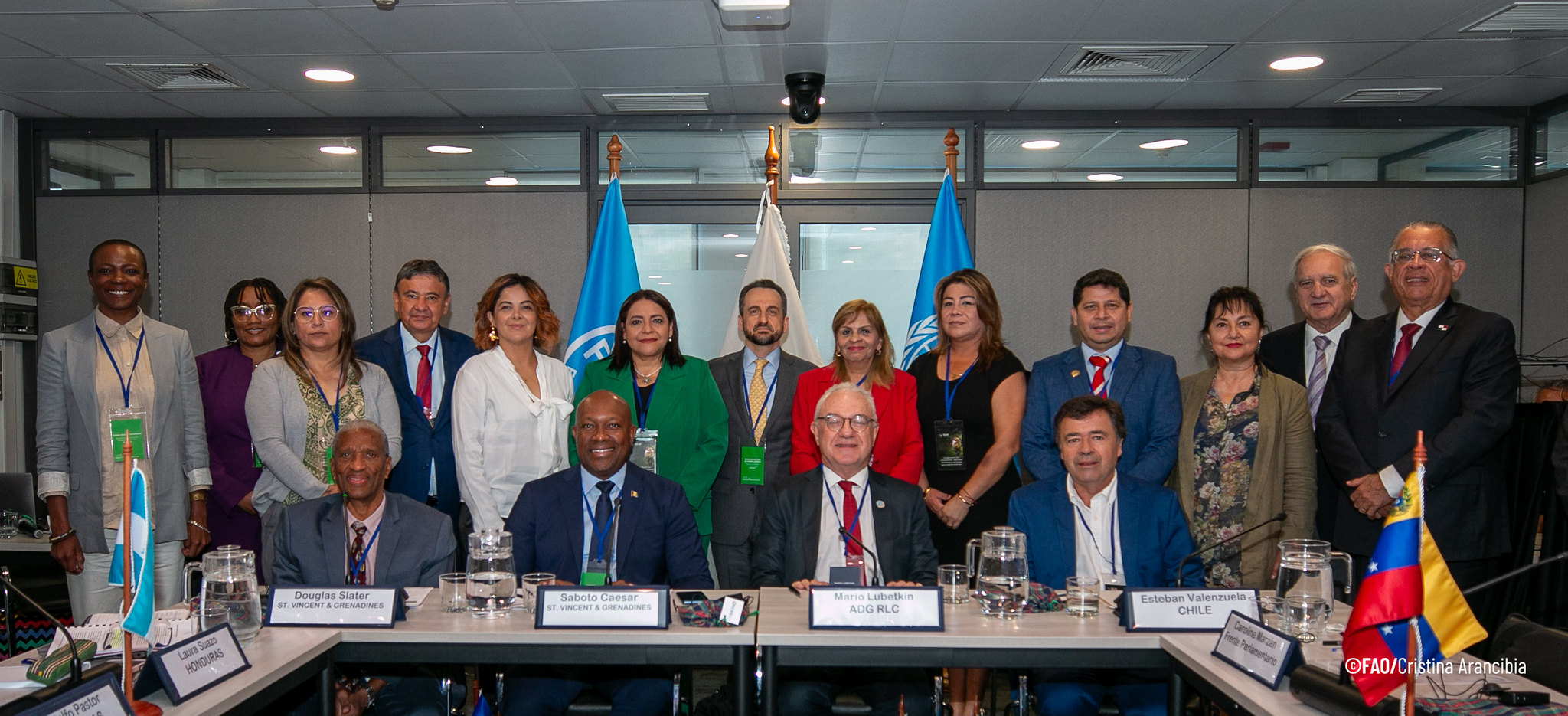 Organização das Nações Unidas para Agricultura e Alimentação: FAO no ...