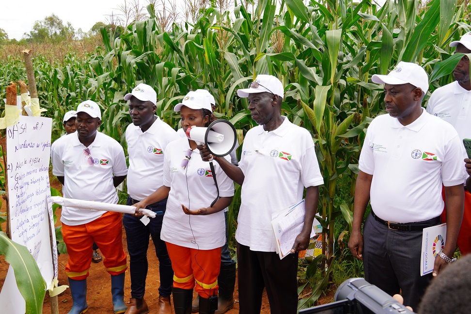 Organisation des Nations Unies pour l'alimentation et l'agriculture ...