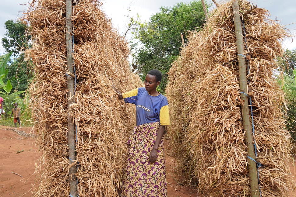 Organisation des Nations Unies pour l'alimentation et l'agriculture ...