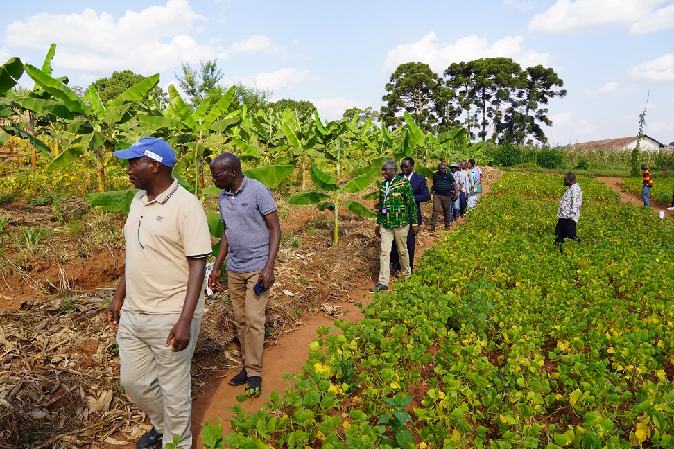Organisation des Nations Unies pour l'alimentation et l'agriculture ...