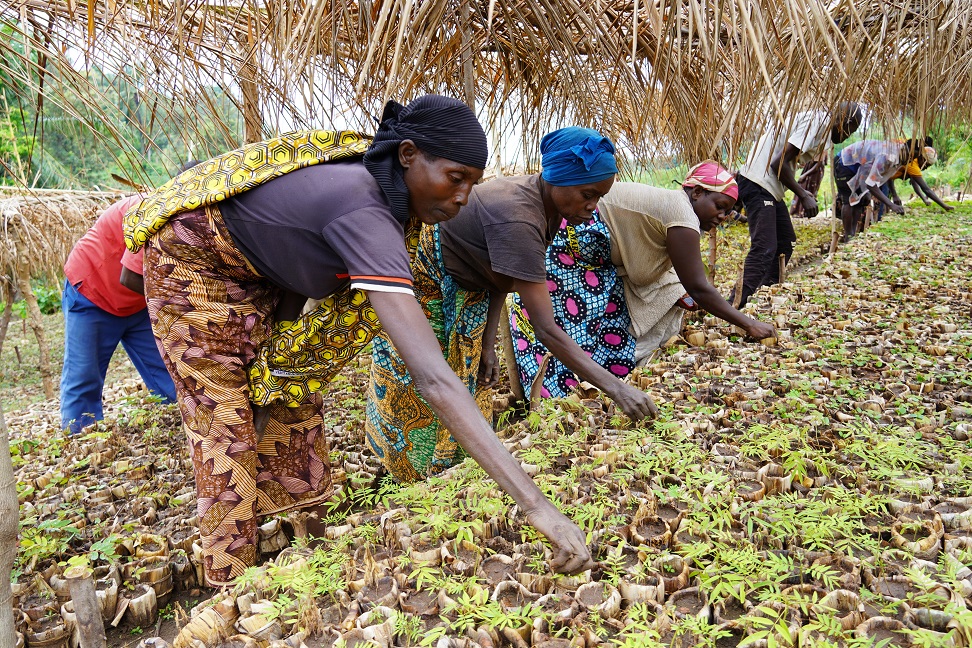 Organisation des Nations Unies pour l'alimentation et l'agriculture ...