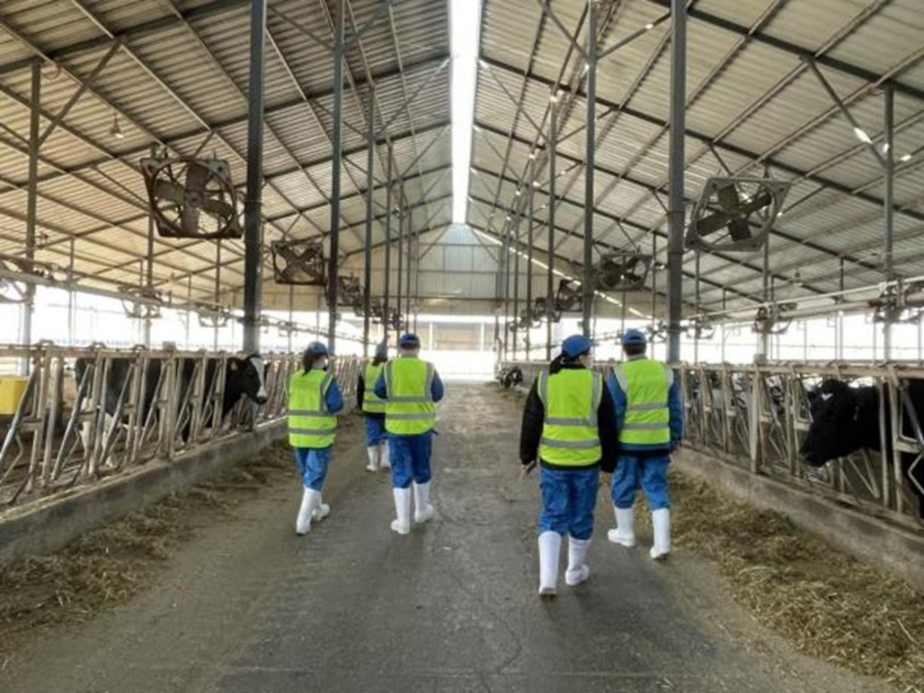 FAO in China | Food and Agriculture Organization of the United Nations