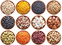 Organización de las Naciones Unidas para la Alimentación y la ...