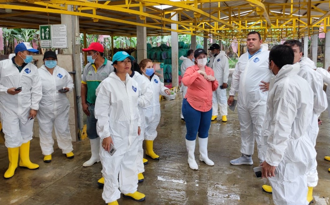 Organización de las Naciones Unidas para la Alimentación y la ...