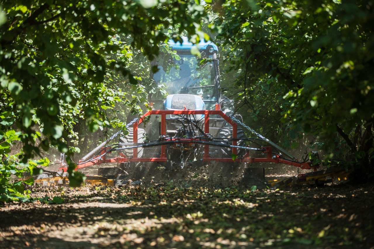FAO in Georgia | Food and Agriculture Organization of the United Nations