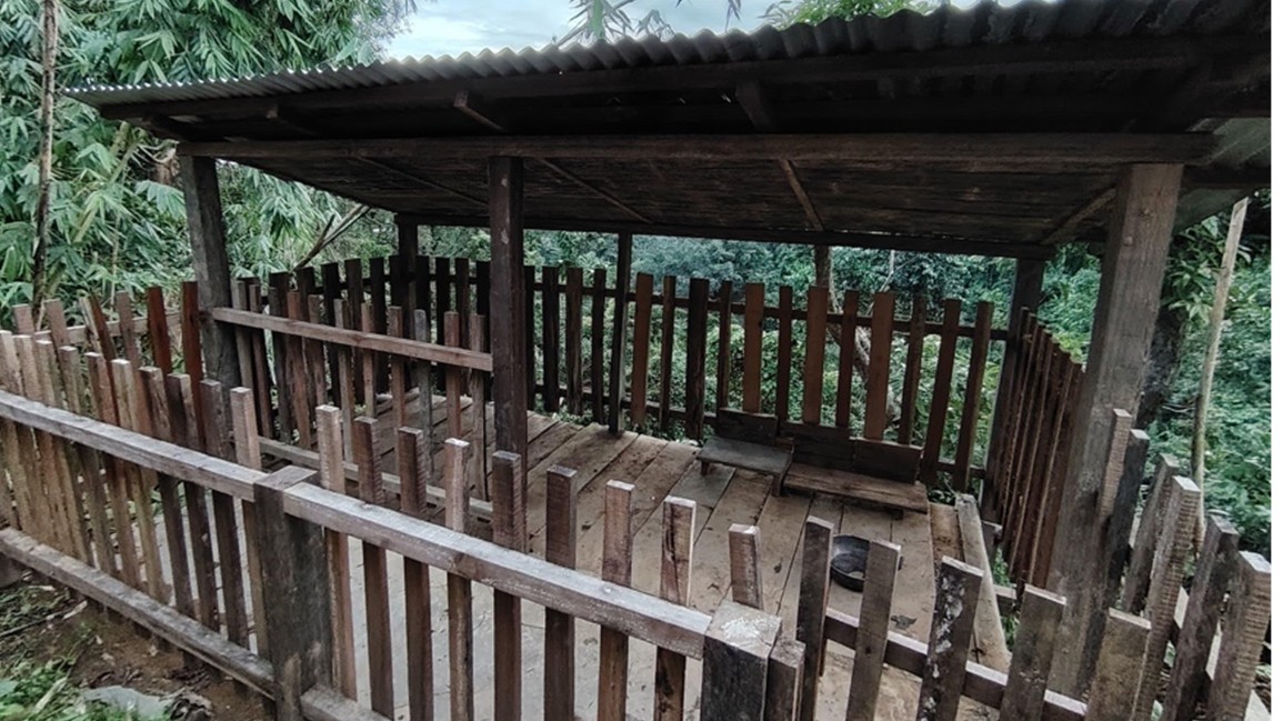 Piggery Mizoram | FAO in India | Food and Agriculture Organization of ...