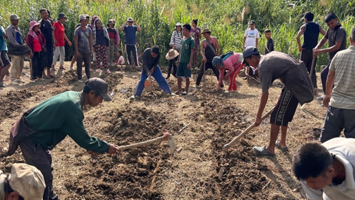 Winter Vegetables | FAO in India | Food and Agriculture Organization of ...