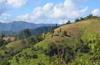 INDIA, FAO and GEF – Transforming agriculture to protect biodiversity ...