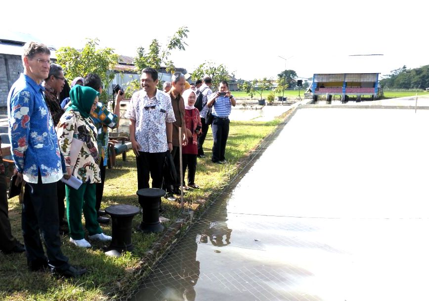 Minapadi: Successful Innovation of Traditional Farming Practices