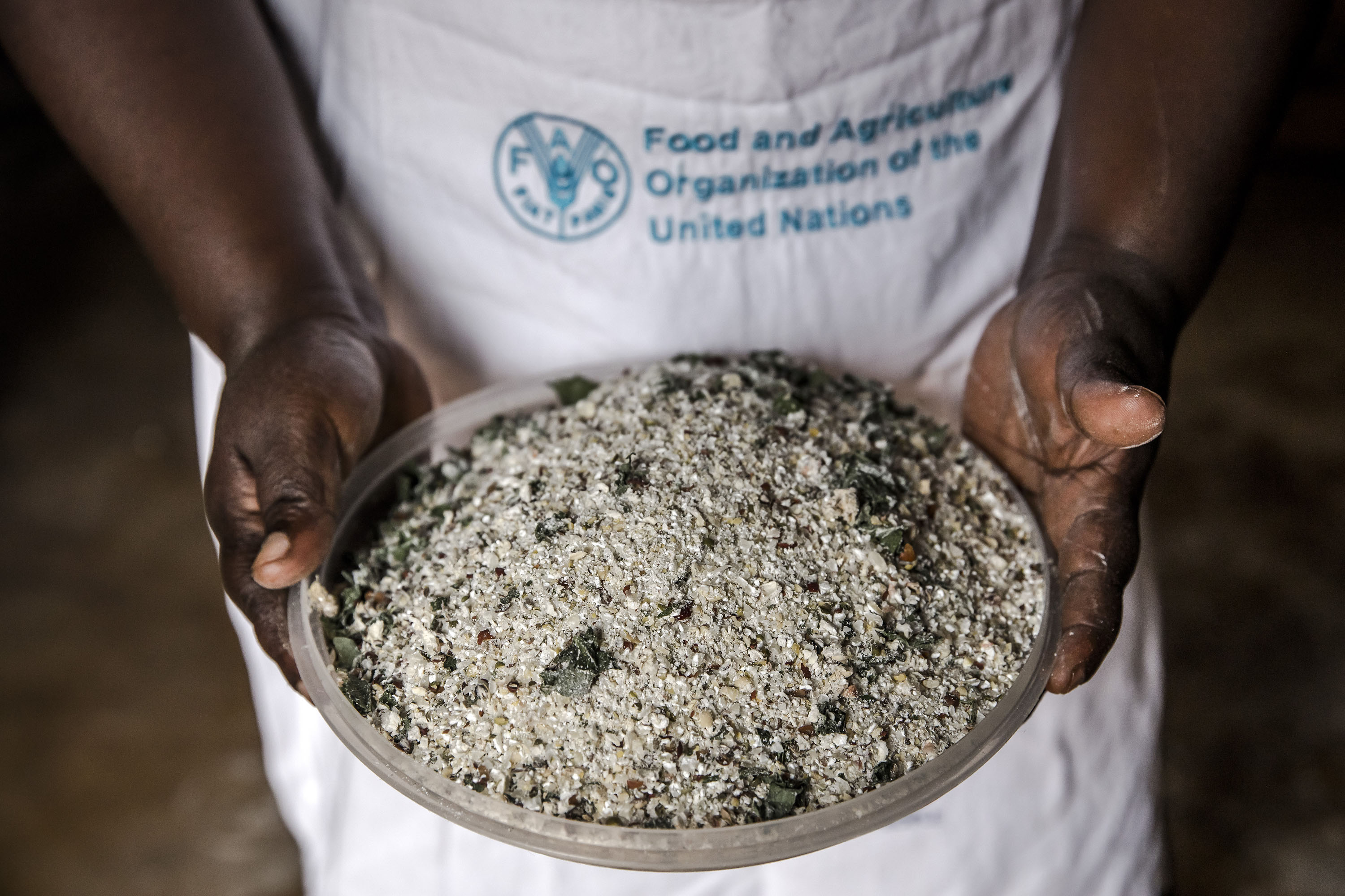 FAO in Kenya | Food and Agriculture Organization of the United Nations