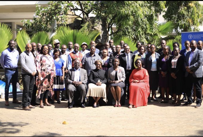 FAO in Kenya | Food and Agriculture Organization of the United Nations
