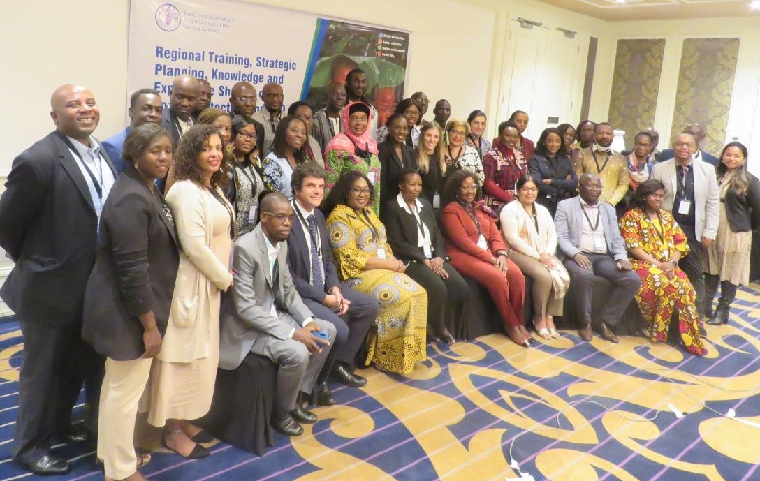 FAO in Kenya | Food and Agriculture Organization of the United Nations