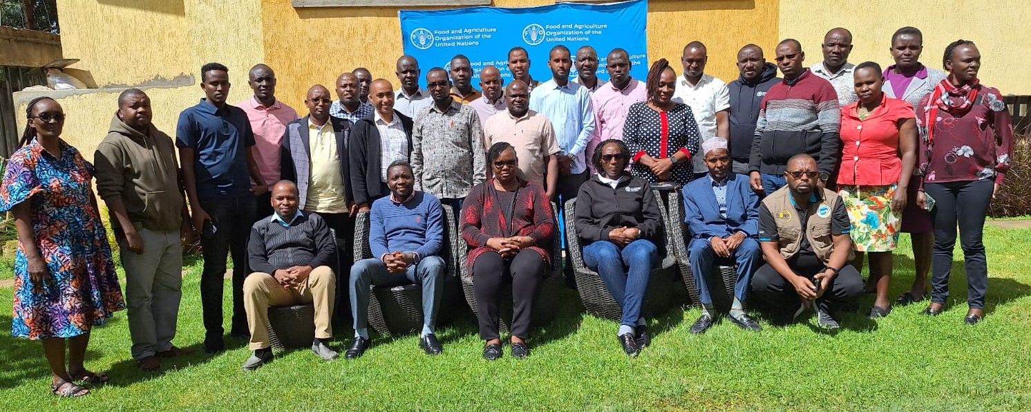 FAO in Kenya | Food and Agriculture Organization of the United Nations