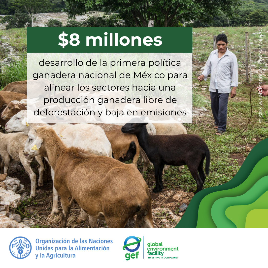 Organización de las Naciones Unidas para la Alimentación y la ...