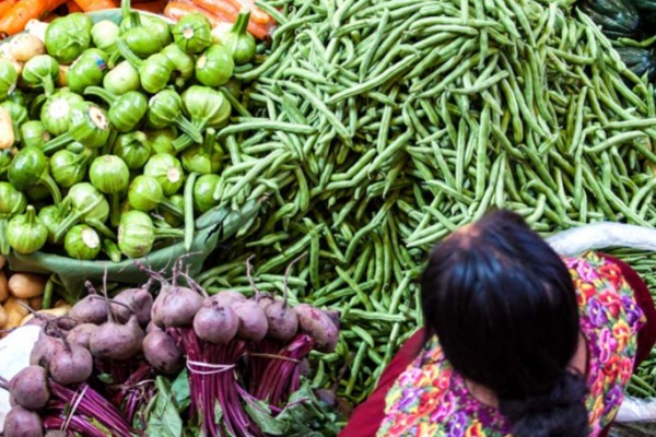 Organización de las Naciones Unidas para la Alimentación y la ...
