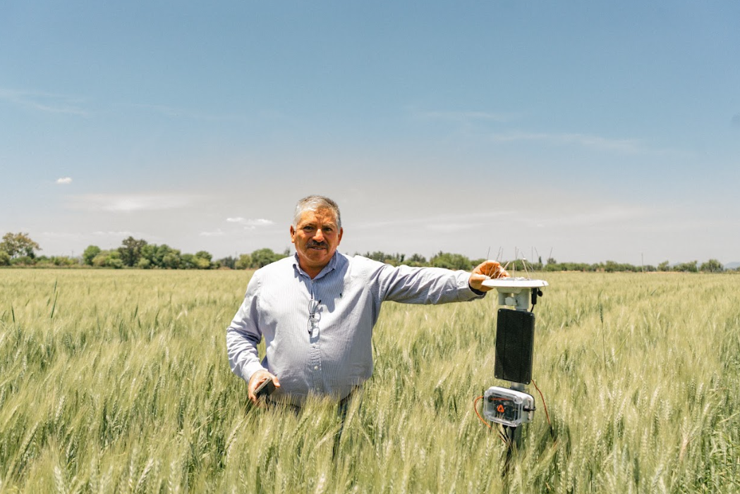 Organización de las Naciones Unidas para la Alimentación y la ...