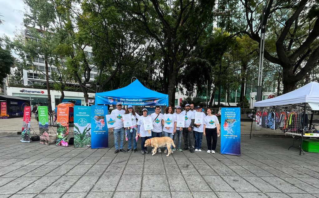 Organización de las Naciones Unidas para la Alimentación y la ...