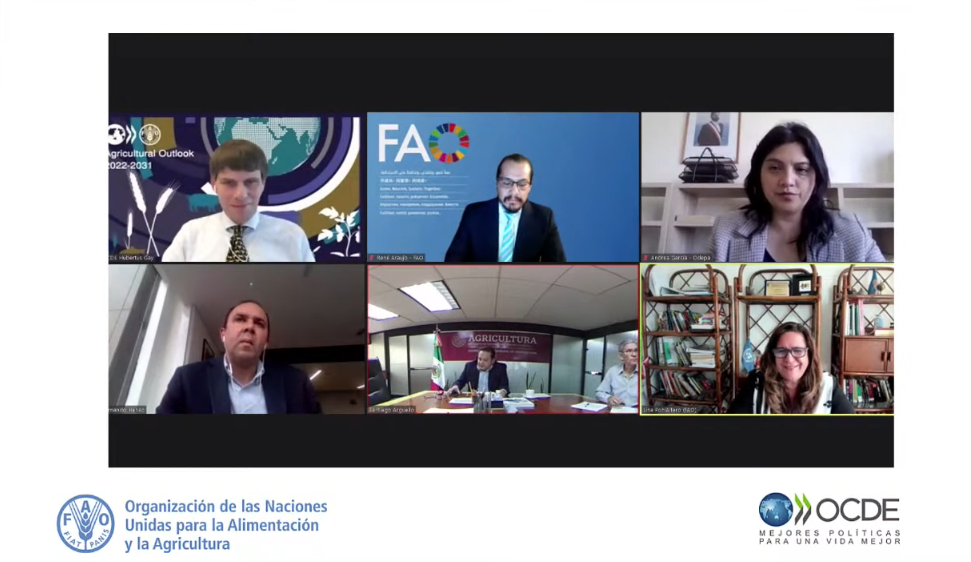 Organización de las Naciones Unidas para la Alimentación y la ...