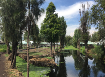 Organización de las Naciones Unidas para la Alimentación y la ...