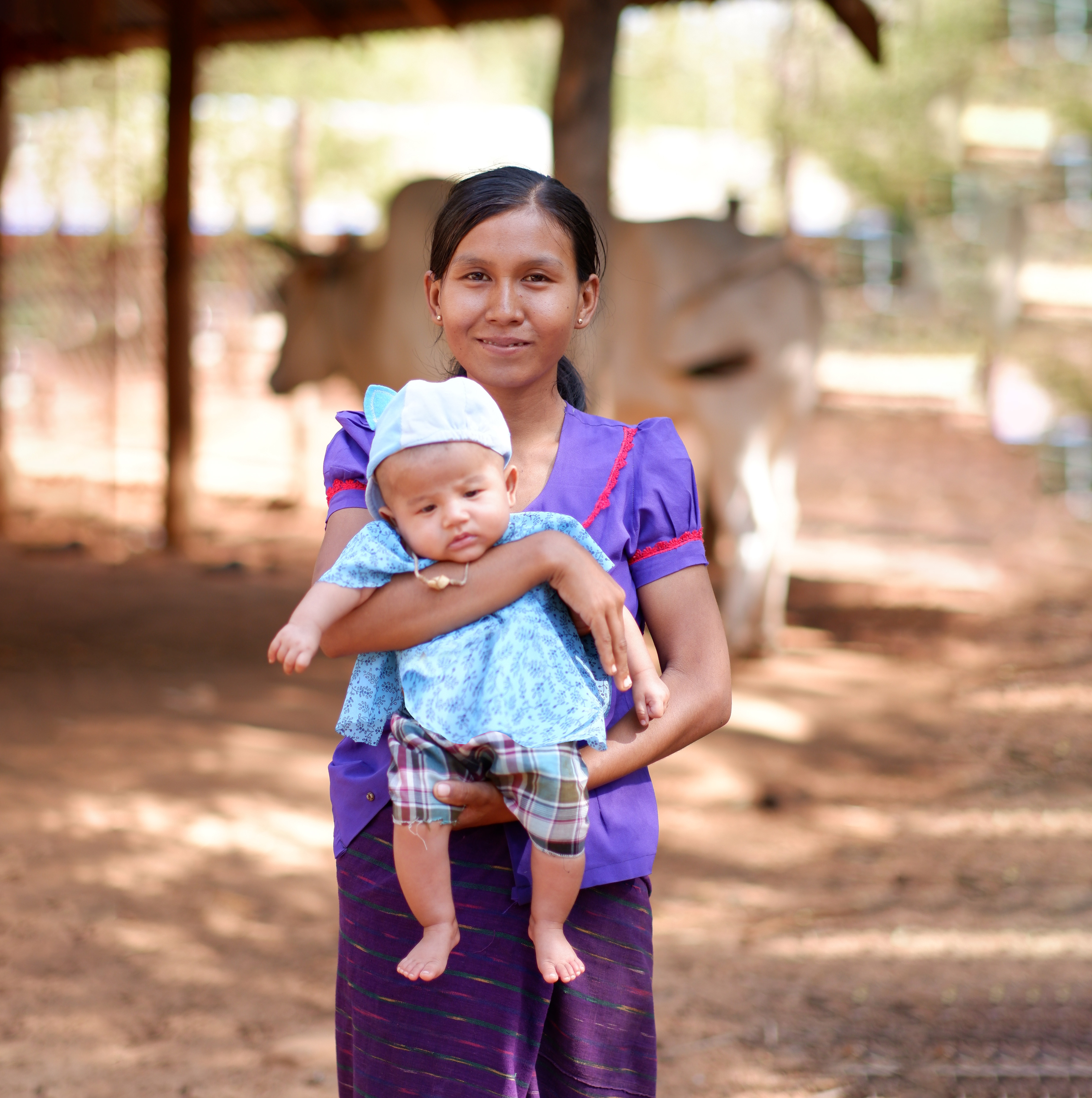 FAO in Myanmar | Food and Agriculture Organization of the United Nations