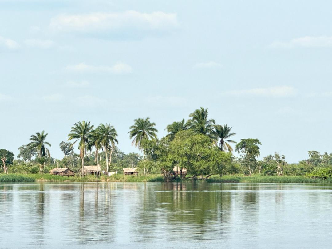 Organisation des Nations Unies pour l'alimentation et l'agriculture ...