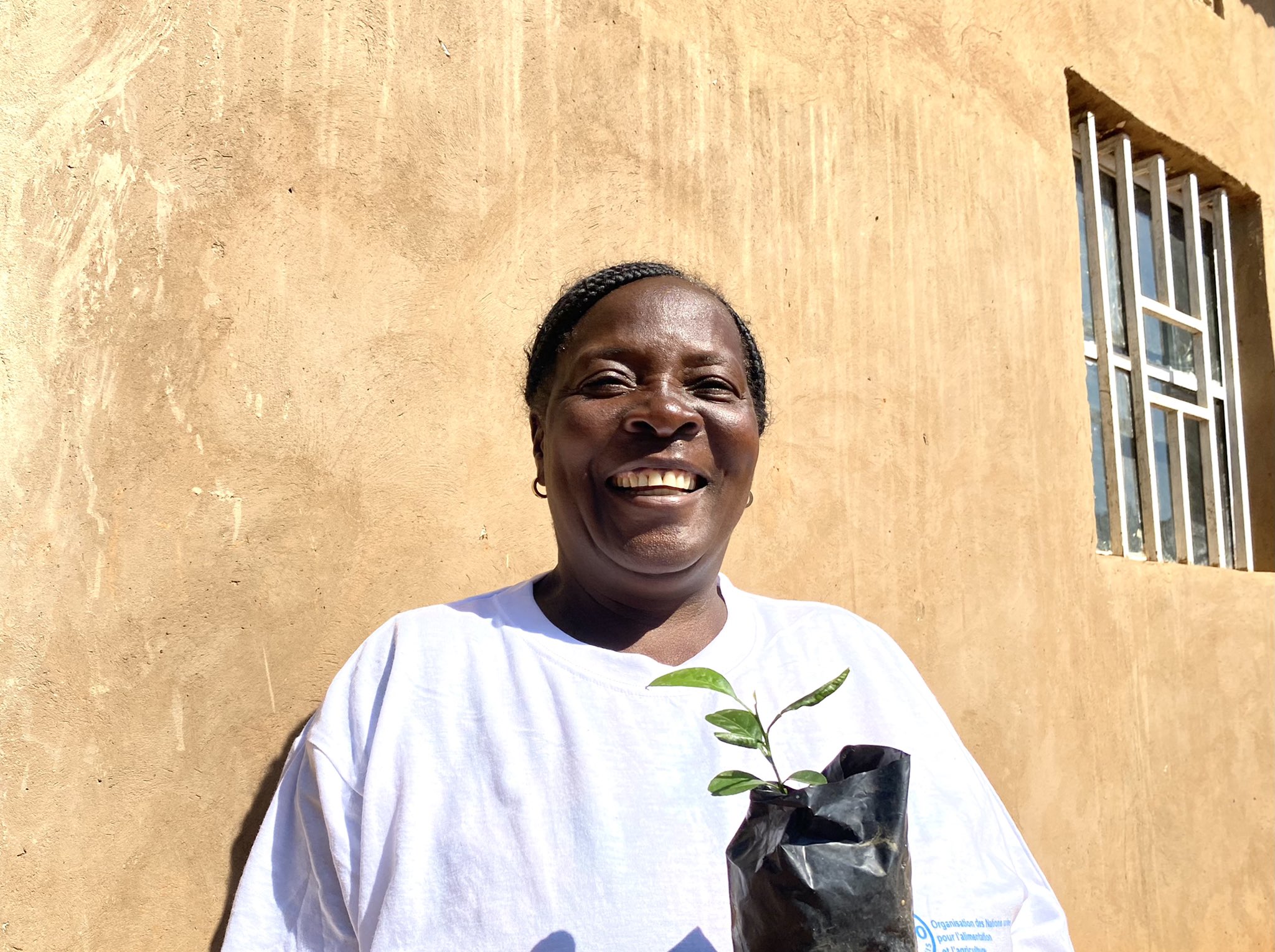 Organisation des Nations Unies pour l'alimentation et l'agriculture ...