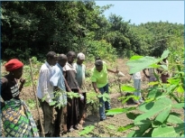 Organisation des Nations Unies pour l'alimentation et l'agriculture: Le ...