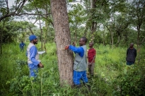 Organisation des Nations Unies pour l'alimentation et l'agriculture: La ...