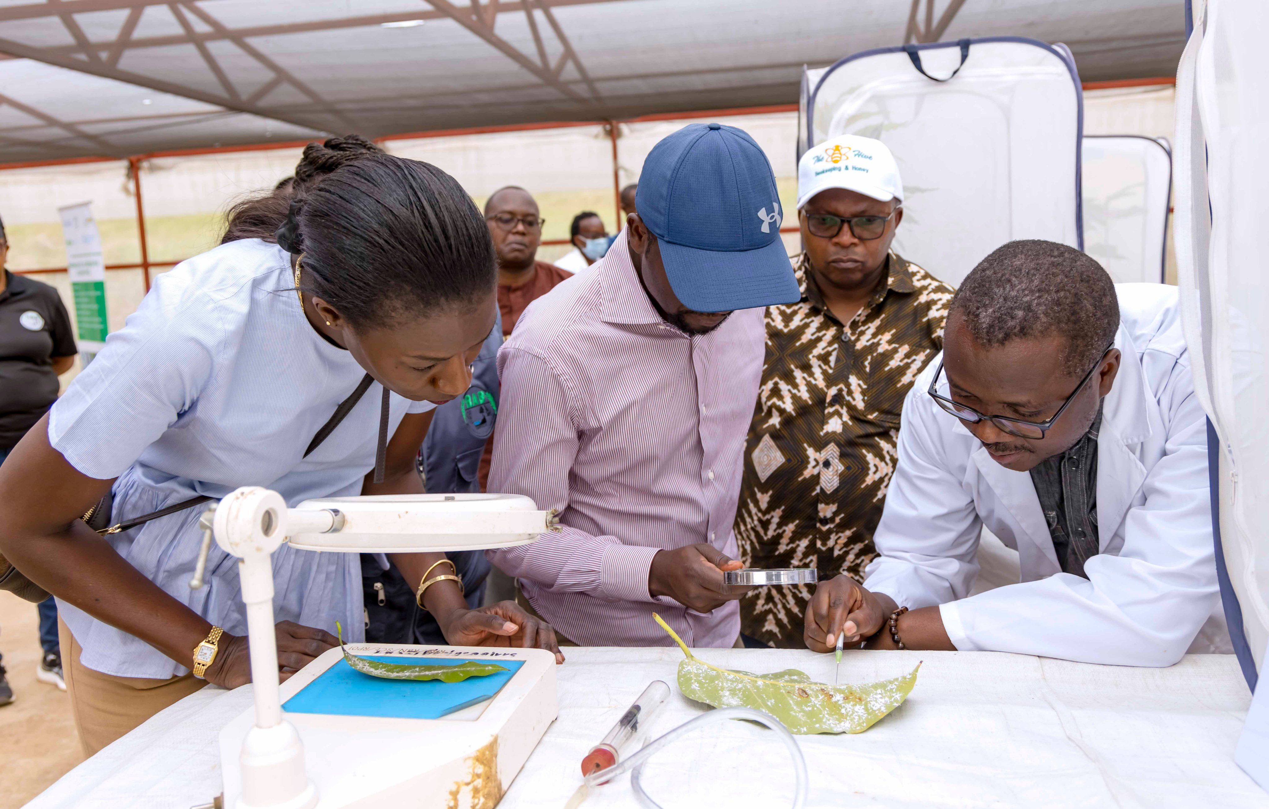 FAO in Rwanda | Food and Agriculture Organization of the United Nations