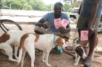 Efforts to Eliminate dog-mediated Human Rabies Intensifies | FAO in ...