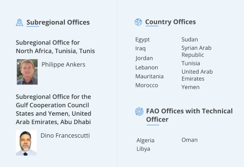 Organizational chart | FAO | Food and Agriculture Organization of the ...