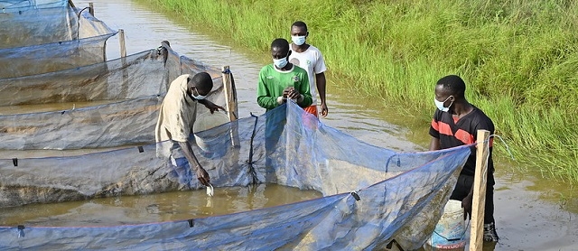 L’ingénieur de l’industrie pharmaceutique reconvertie à la pisciculture ...