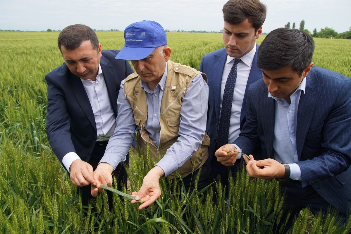 CAC-Rust conference organized in Baku to combat the rapid spread of ...